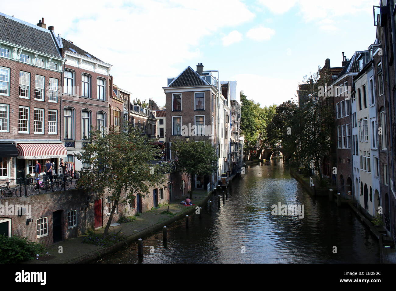 Sunny tree-shaded canals in the old medieval inner city of Utrecht, The ...