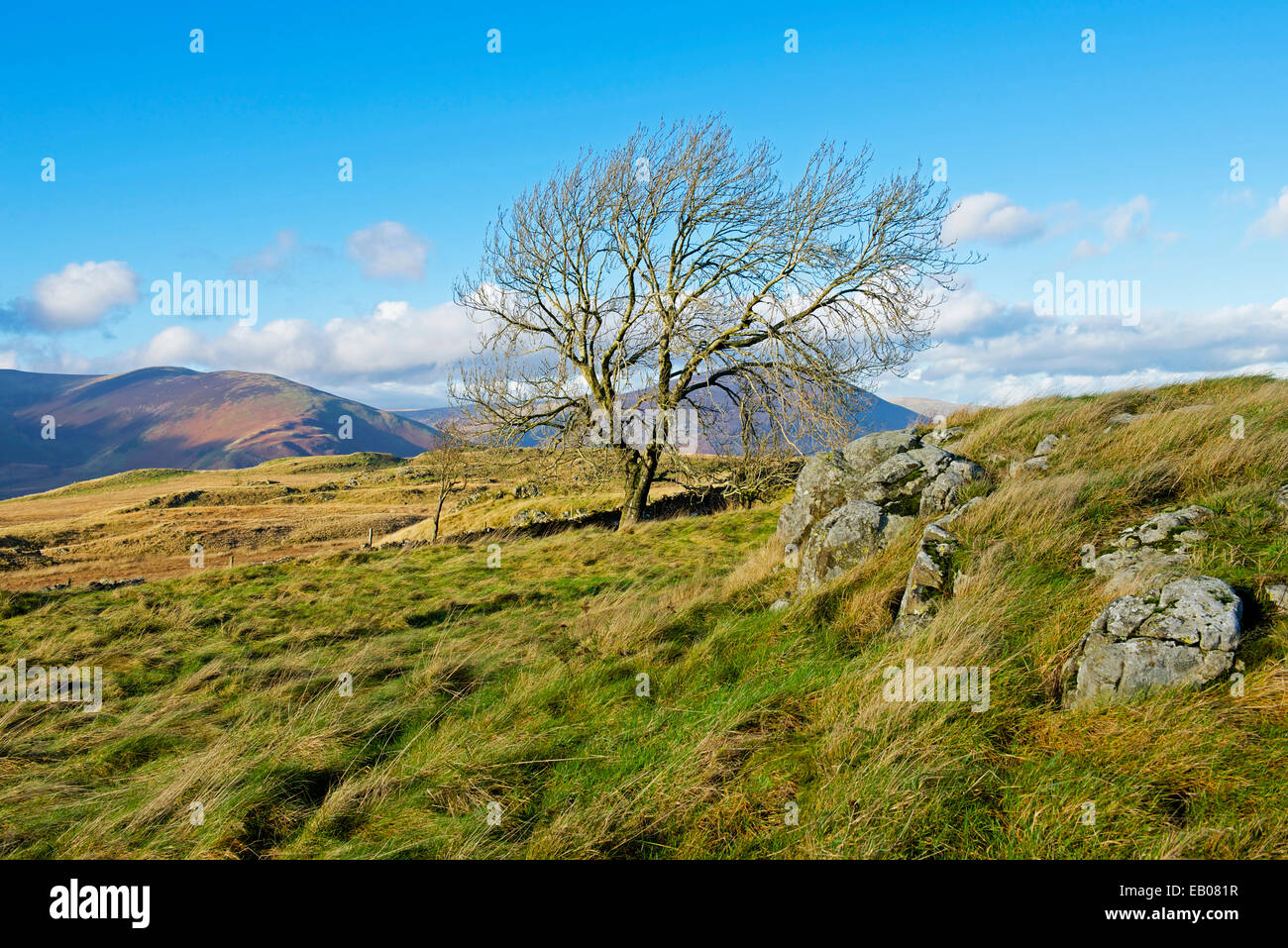 Eycott hill reserve hi-res stock photography and images - Alamy