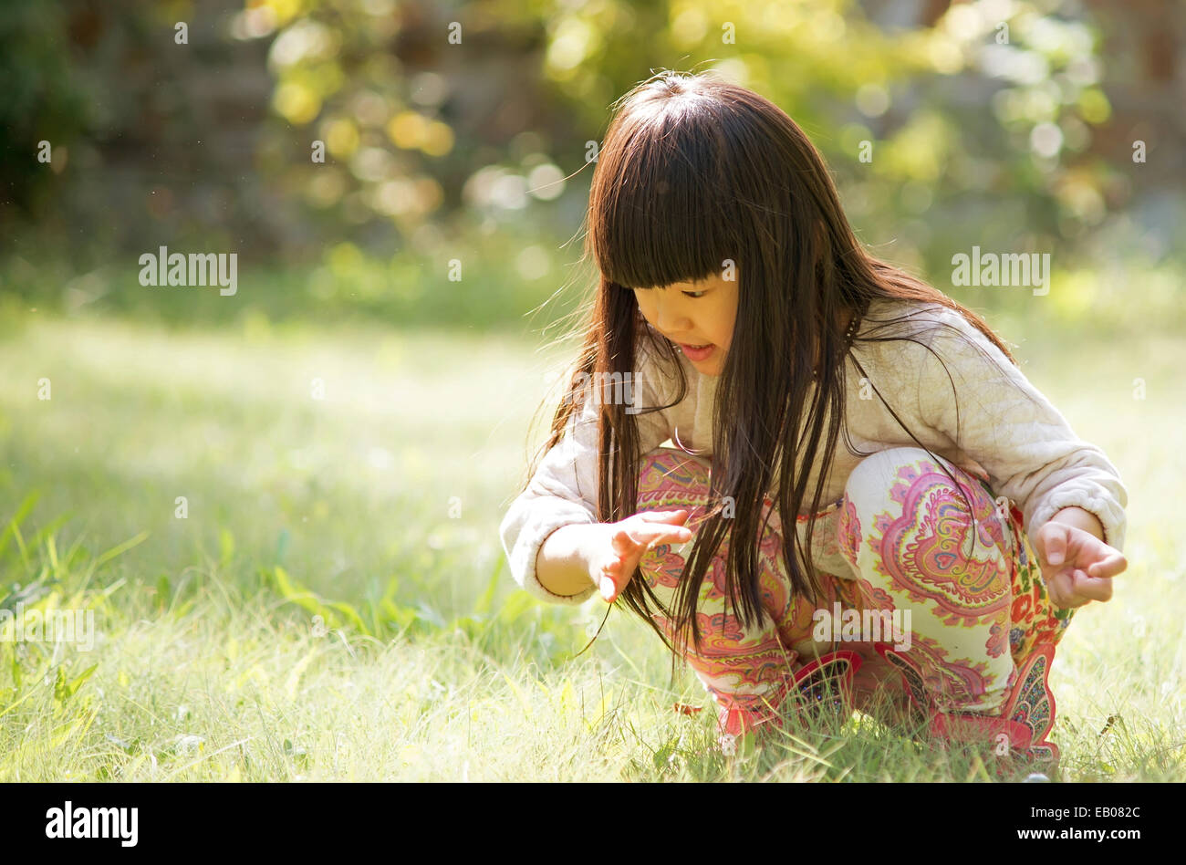 Child looking flowers meadow hi-res stock photography and images - Alamy