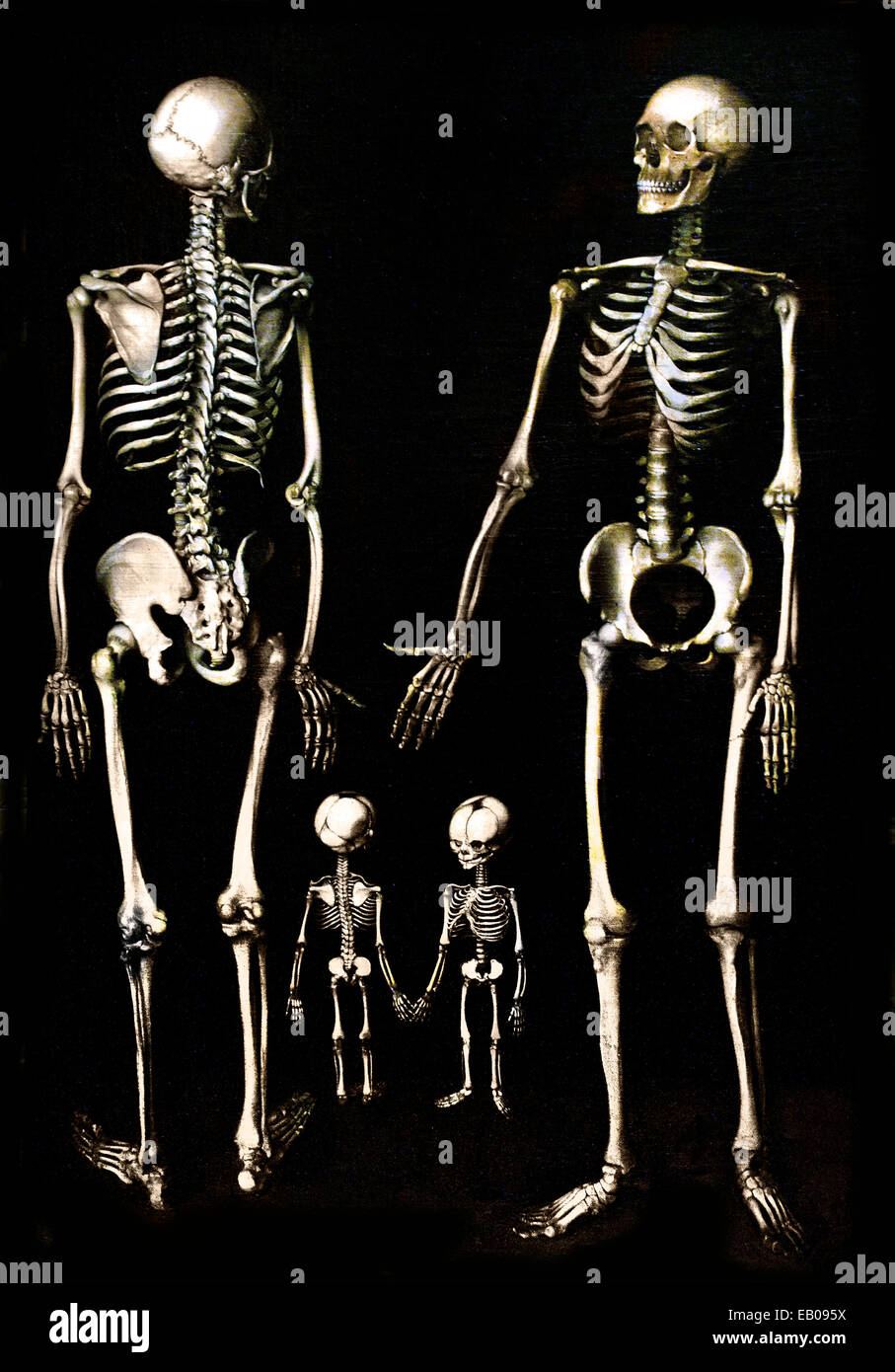 1812 skeleton family familia de esqueletos 1800 spain spanish hi-res ...