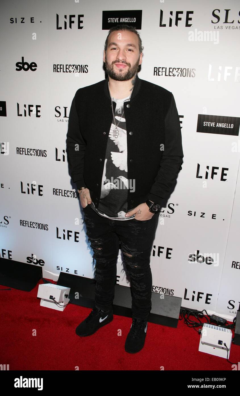 Las Vegas, NV, USA. 22nd Nov, 2014. Steve Angello at arrivals for Steve ...