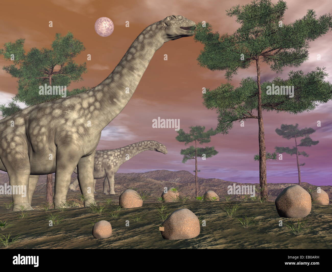 Argentinosaurus dinosaurs eating at the top of tree by night- 3D render ...