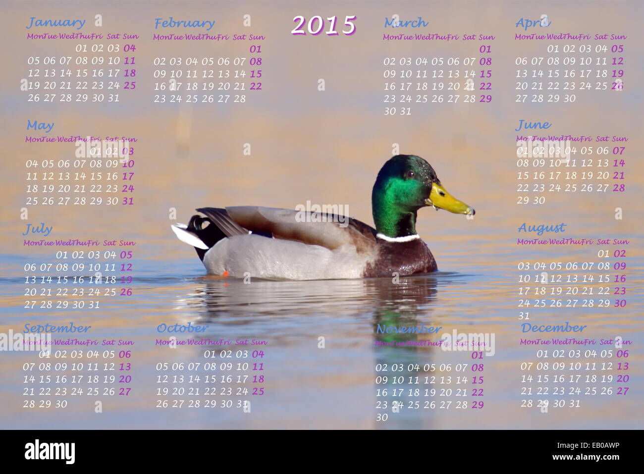 European 2015 year calendar hi-res stock photography and images - Alamy