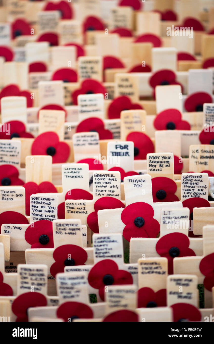 Thank You. Remembrance crosses and poppies Stock Photo - Alamy