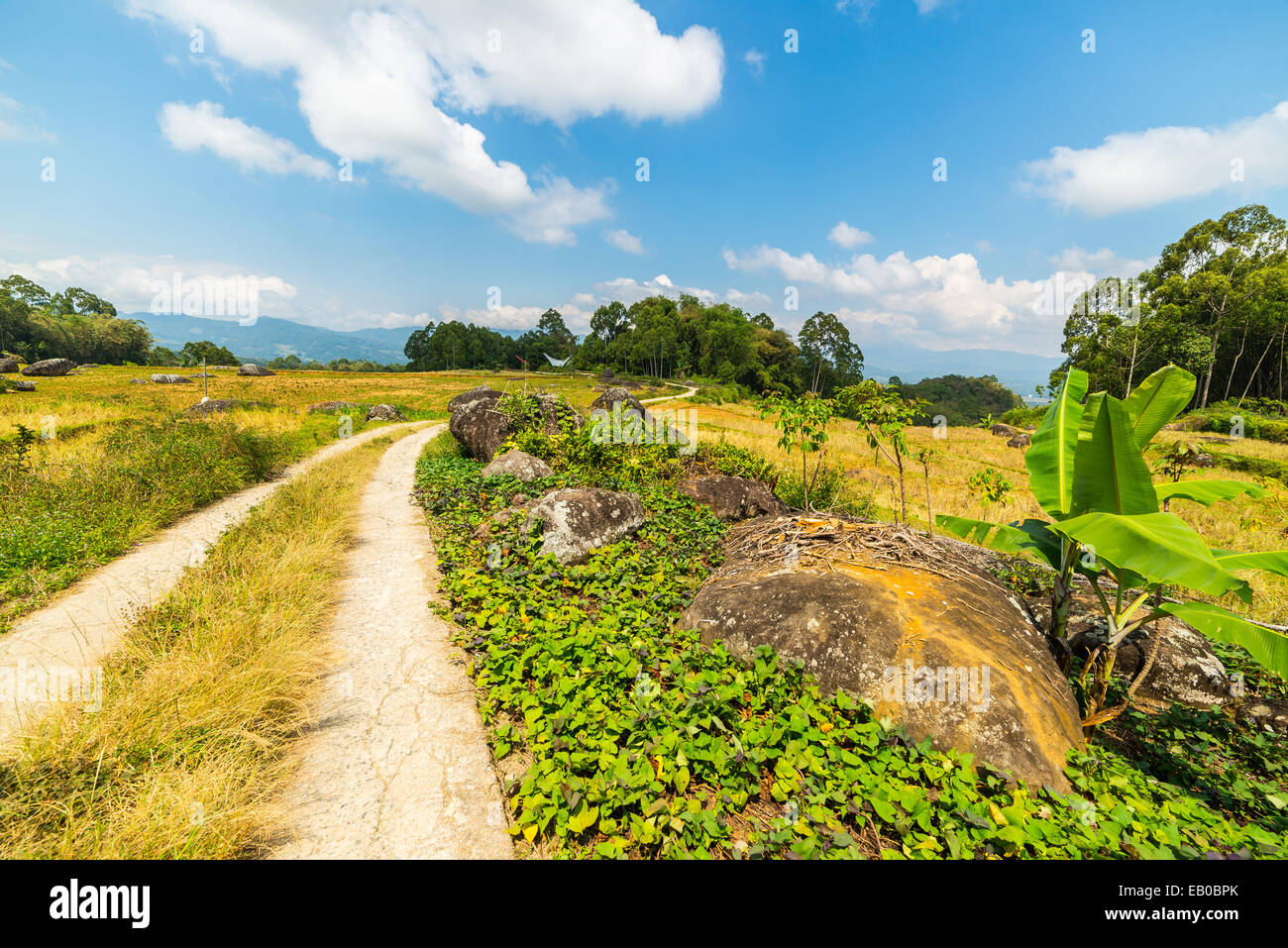 Indonesia country road hi-res stock photography and images - Alamy