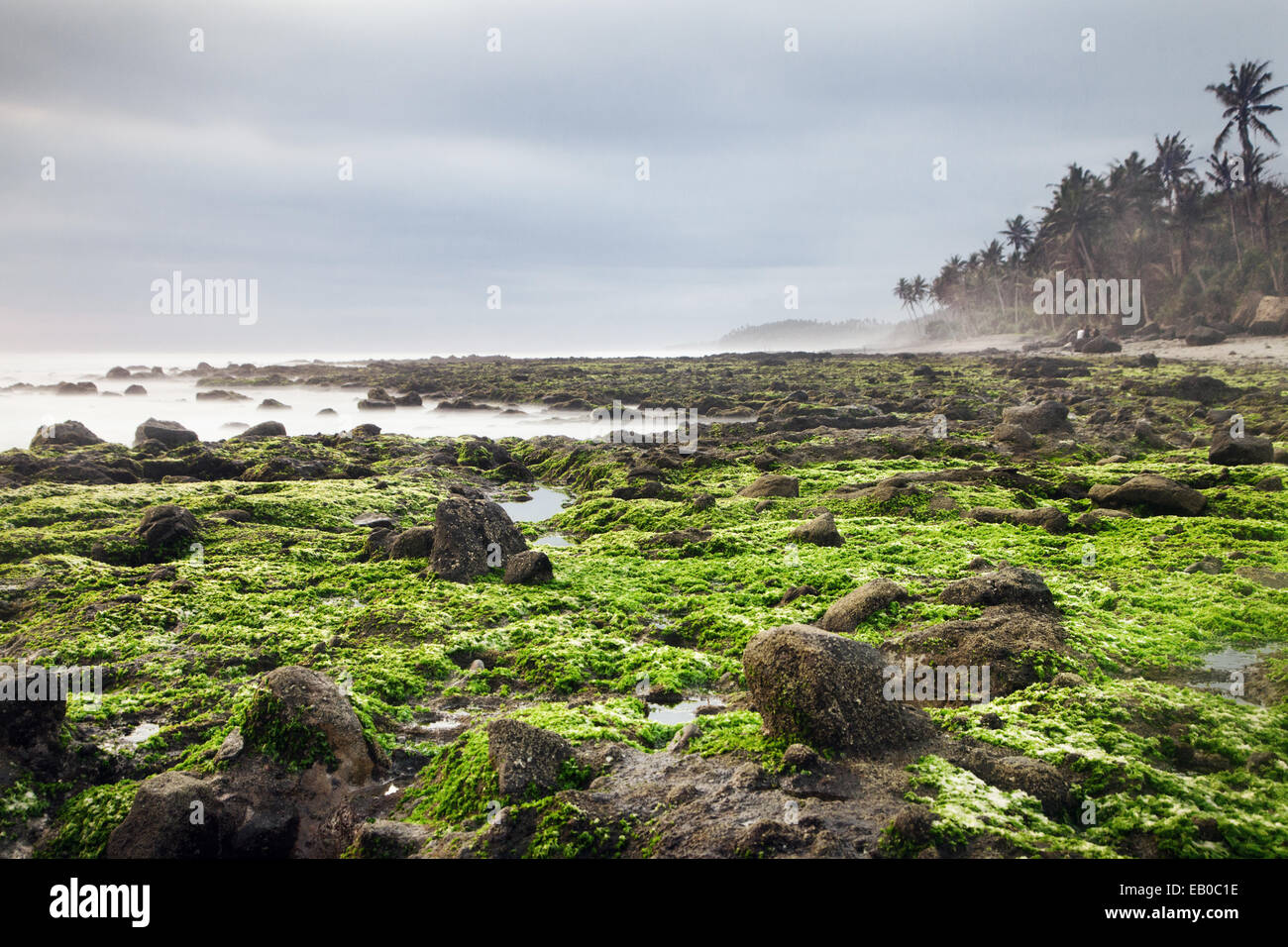 Pantai soka hi-res stock photography and images - Alamy