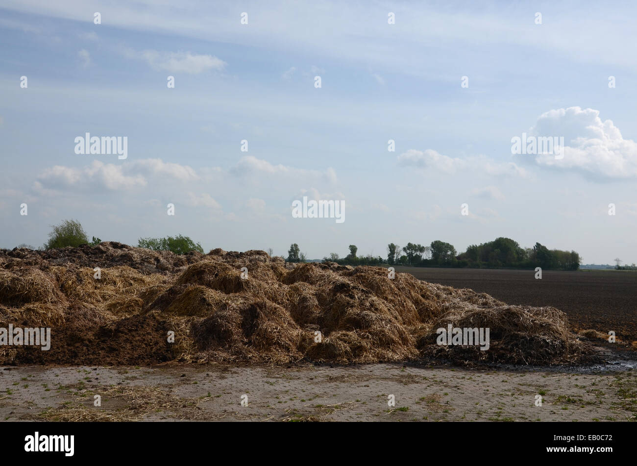 pile of manure to be used as fertilizer Stock Photo - Alamy