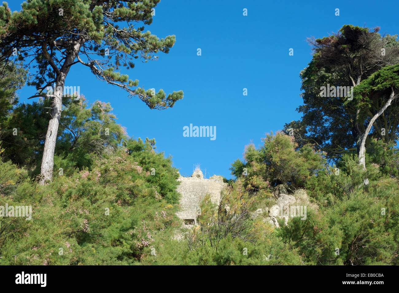 Cliff top World War Two concrete bunker, Bawdsey Ferry, Suffolk, UK ...