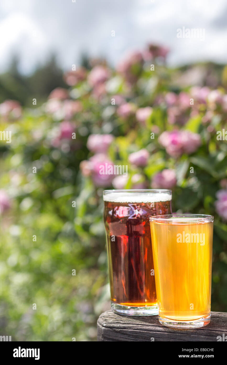 Pint of real ale and scrumpy cider in garden Stock Photo - Alamy