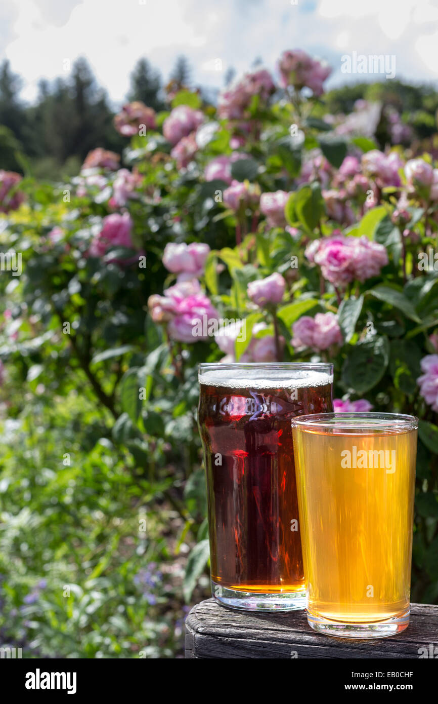 Pint real ale scrumpy cider hi-res stock photography and images - Alamy