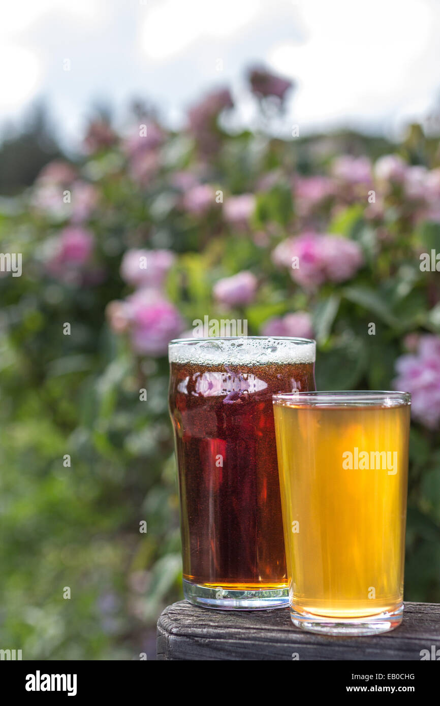 Pint real ale scrumpy cider hi-res stock photography and images - Alamy