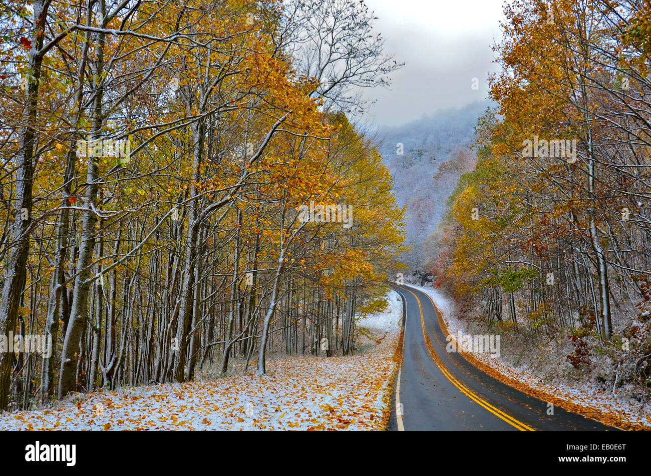 A mountian road with snow and beautiful colorful trees of fall Stock ...