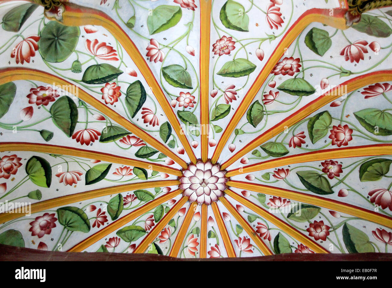 Radial ribs hi-res stock photography and images - Alamy