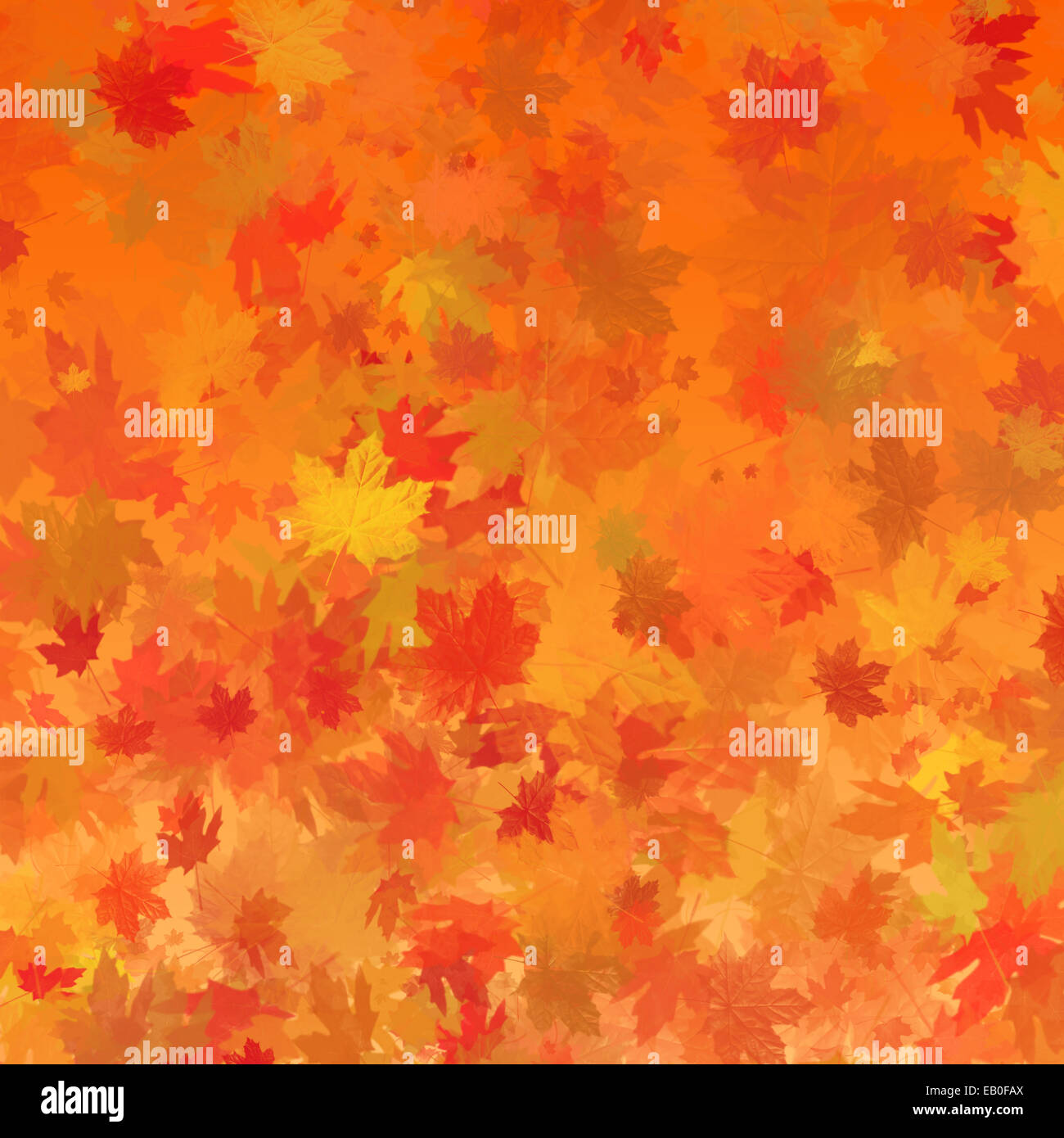 Colorful autumn leaves background Stock Photo - Alamy