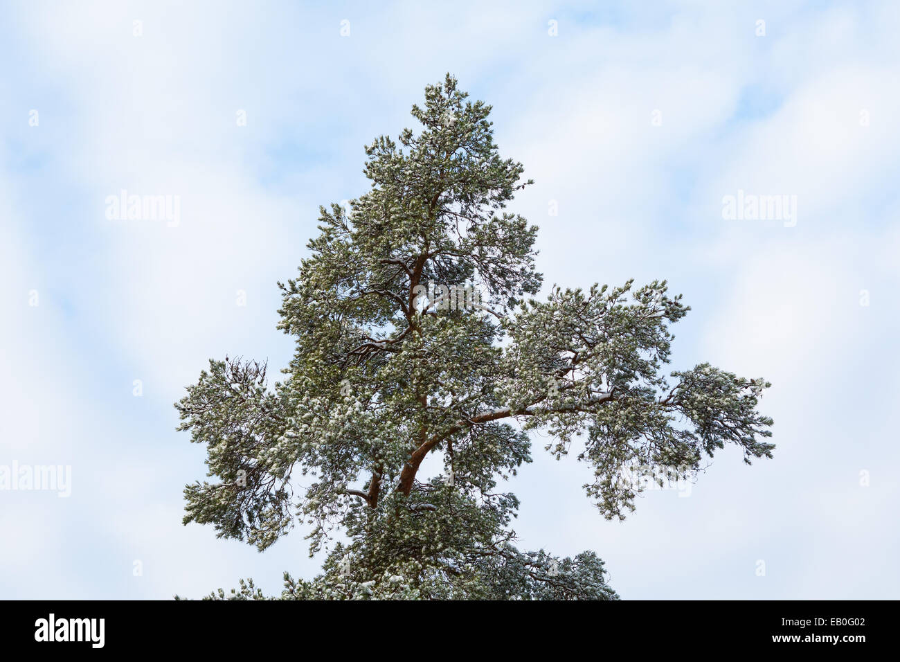 Luminen hi-res stock photography and images - Alamy