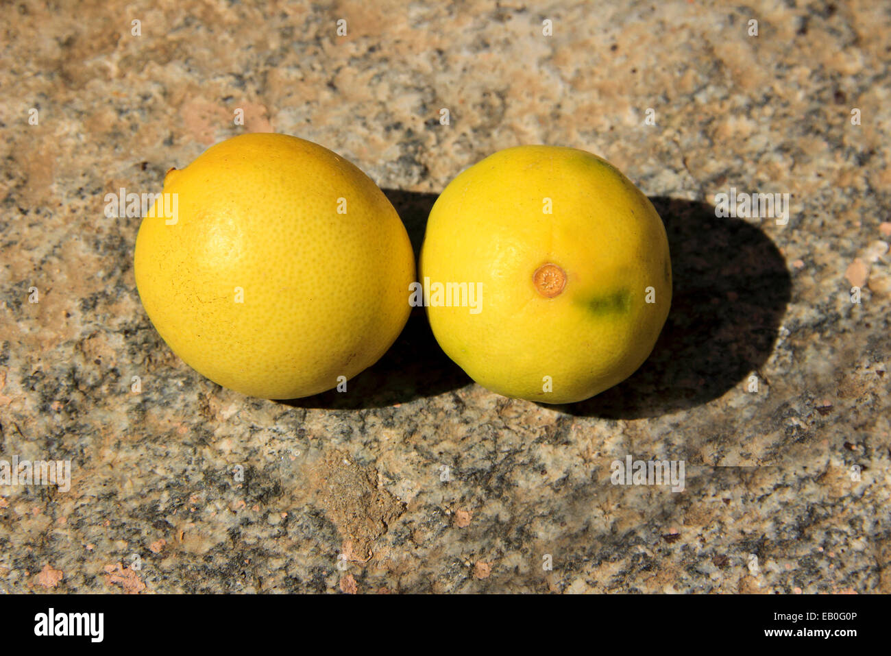Yellow lemons hi-res stock photography and images - Alamy