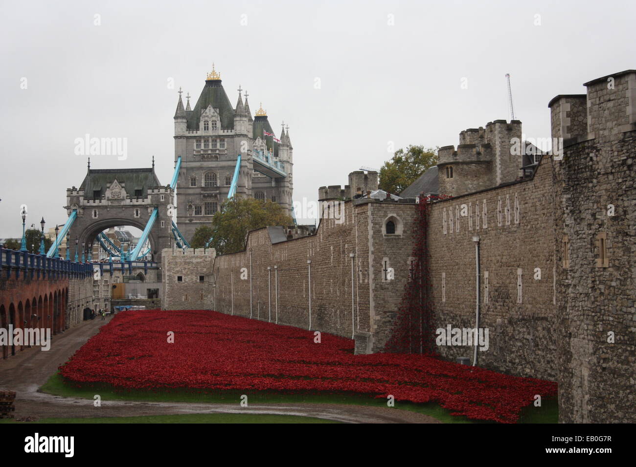 Tower Of London Poppies & Tower Bridge Stock Photo - Alamy