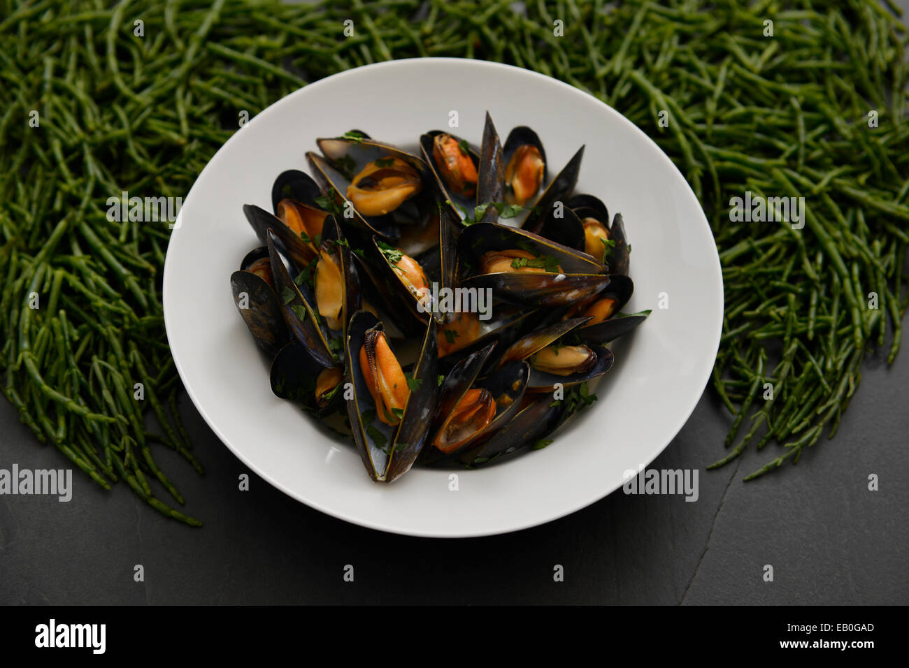 Moules marinere mussels seafood hi-res stock photography and images - Alamy