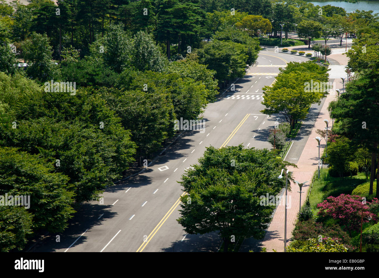 view of road with trees in a park from above Stock Photo - Alamy