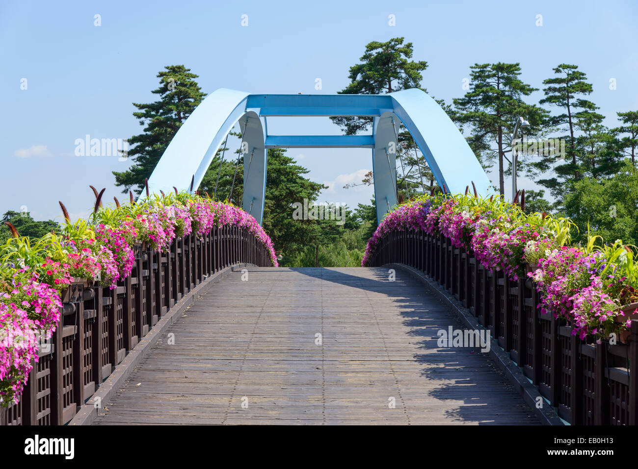 bridge decorated with various color petunia flowers Stock Photo - Alamy