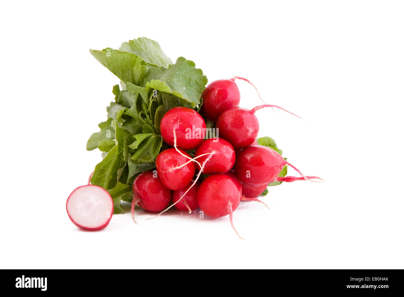 Bunch of fresh red radish, vegetable isolated on white background Stock ...