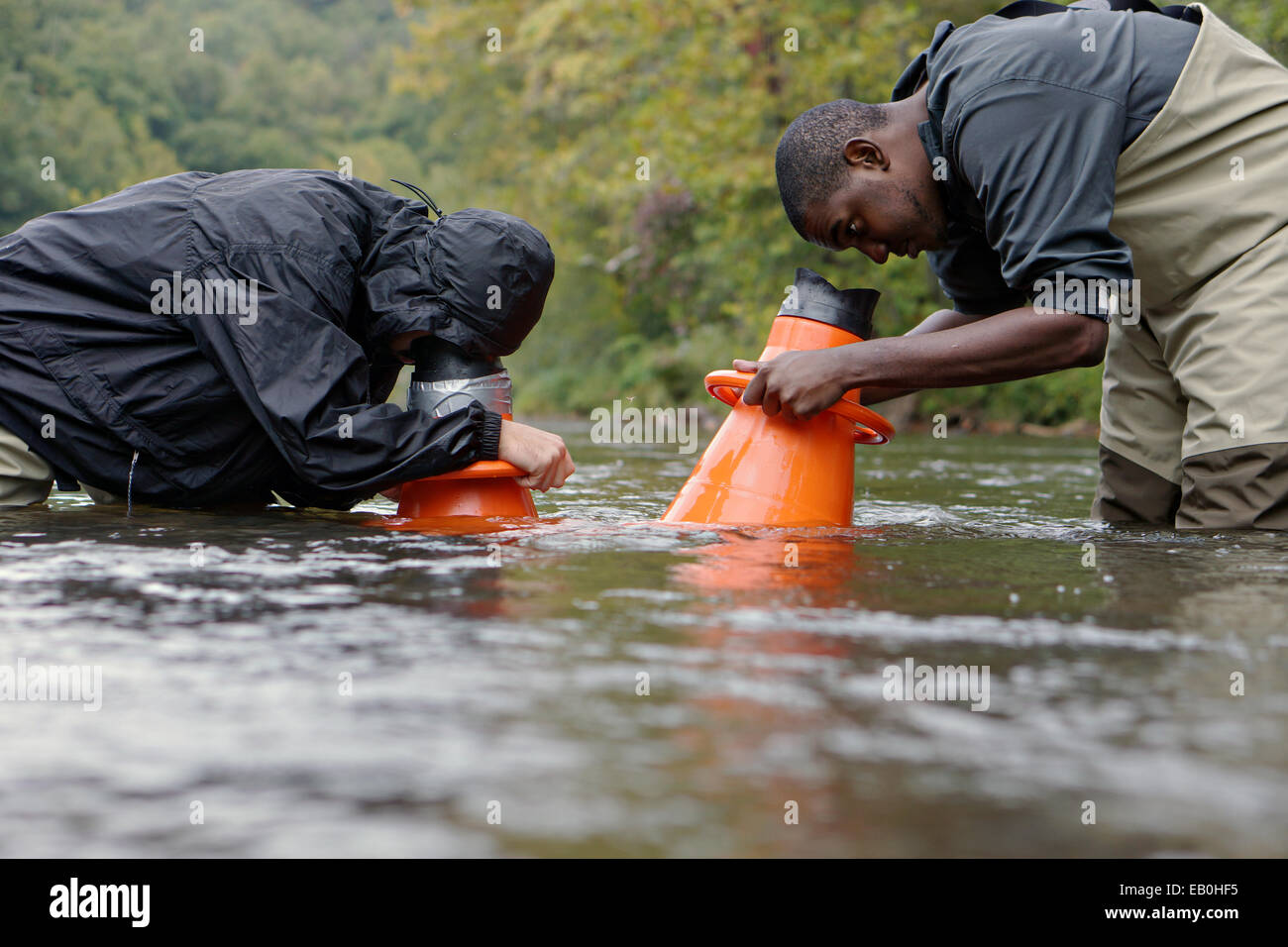 Appalachian elktoe hi-res stock photography and images - Alamy