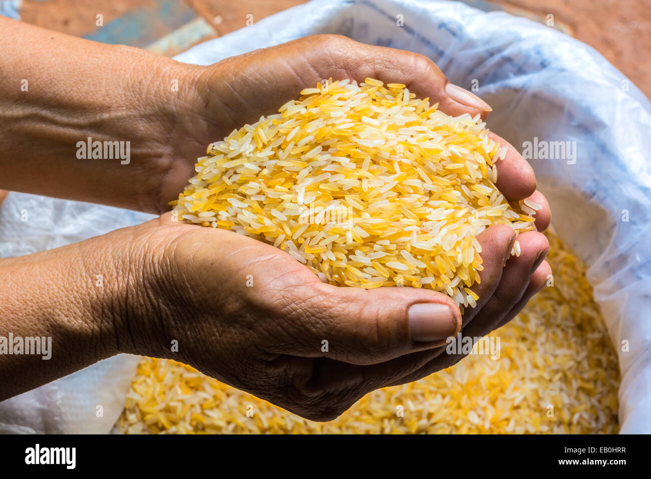 Hands white long grain rice hi-res stock photography and images - Alamy
