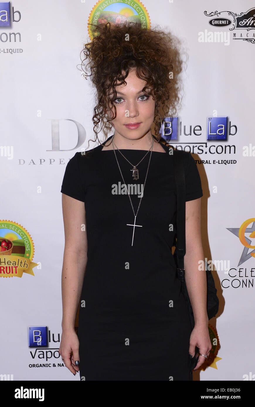 Hollywood, California, USA. 22nd Nov, 2014. American actress Jude ...