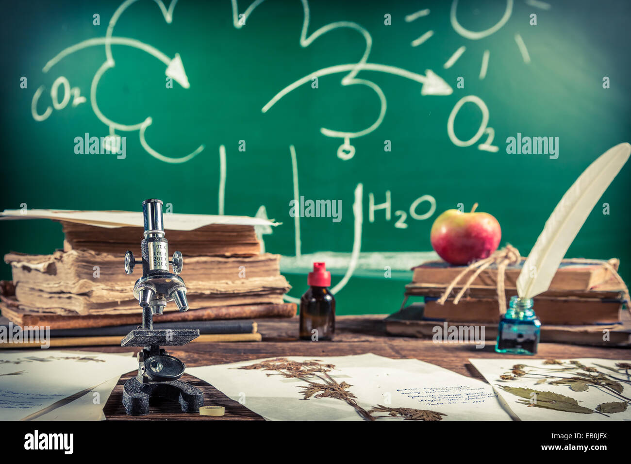 Lesson biology and photosynthesis Stock Photo - Alamy