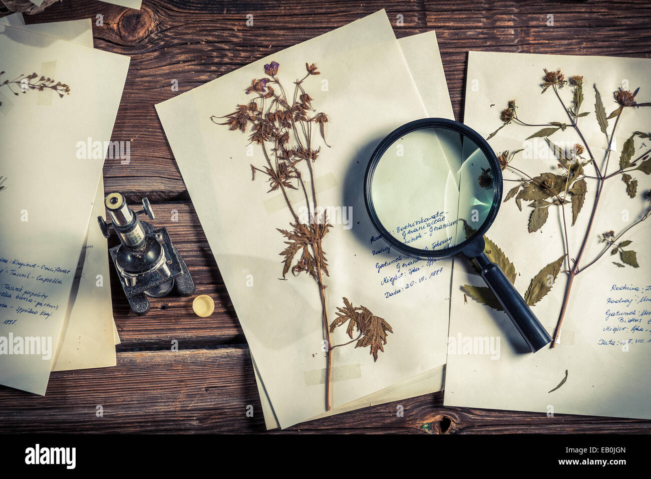 Paper under microscope hi-res stock photography and images - Alamy