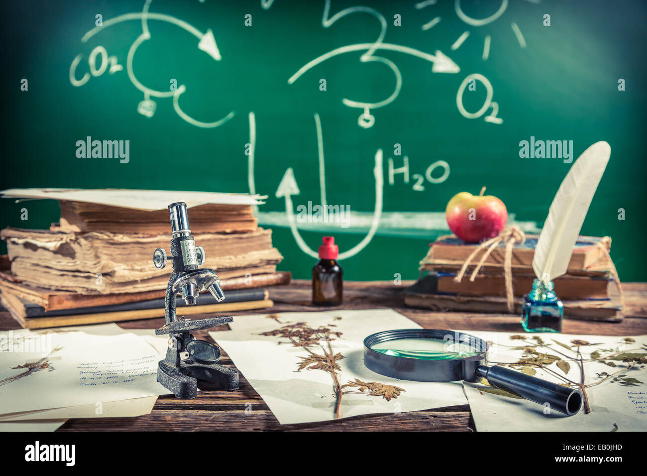 Vintage biology lesson in classroom Stock Photo - Alamy