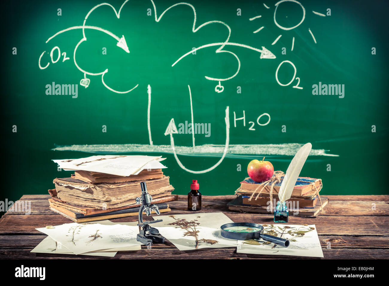 Photosynthesis biology lesson Stock Photo - Alamy