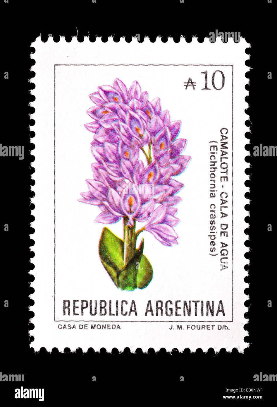 Postage stamp from Argentina depicting common water hyacinth ...