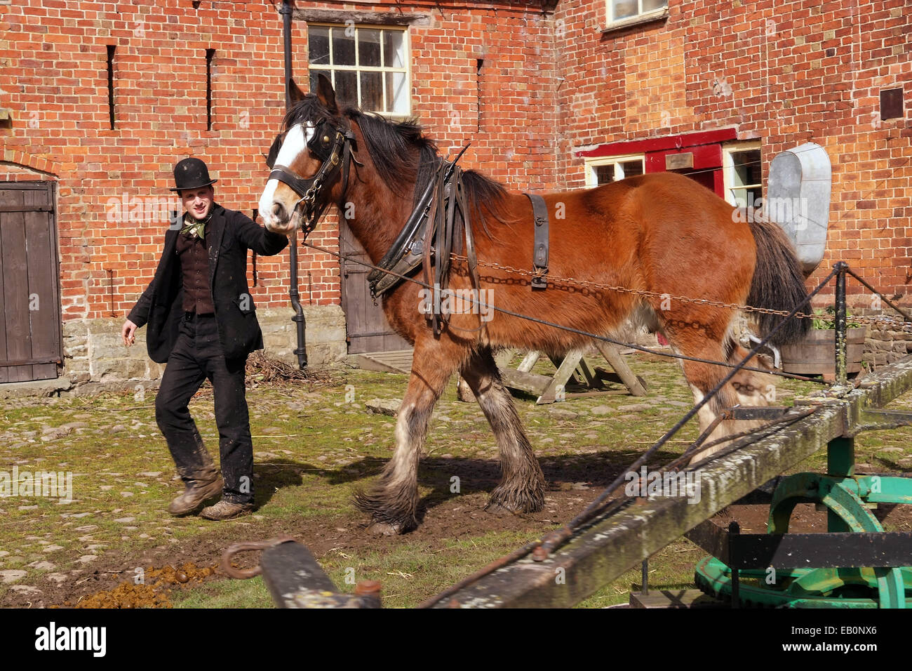 Acton Scott Victorian working Farm, Church Stretton, Shropshire, UK ...