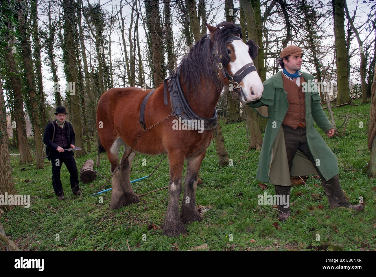 Acton Scott Victorian working Farm, Church Stretton, Shropshire, UK ...