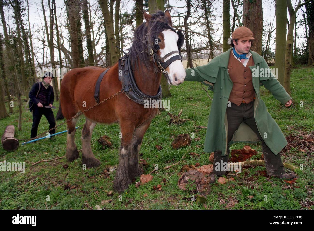 Acton Scott Victorian working Farm, Church Stretton, Shropshire, UK ...
