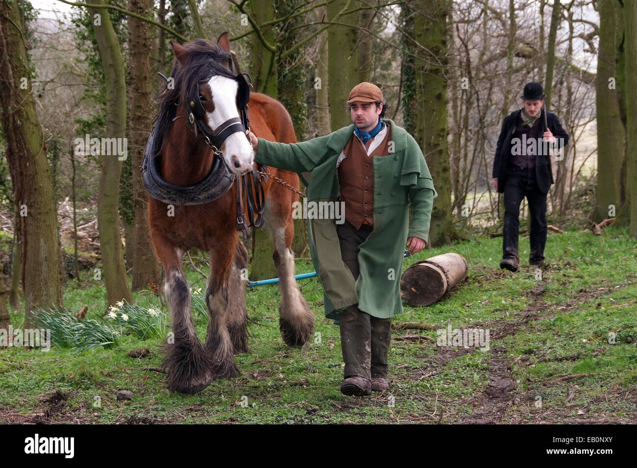 Acton Scott Historic Working Farm High Resolution Stock Photography and ...