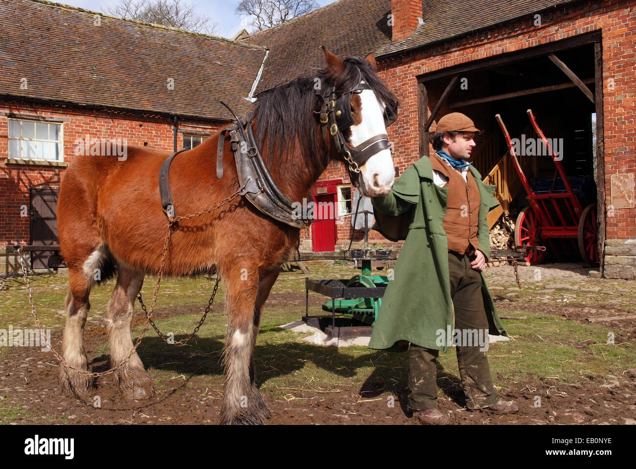 Acton Scott Historic Working Farm High Resolution Stock Photography and ...