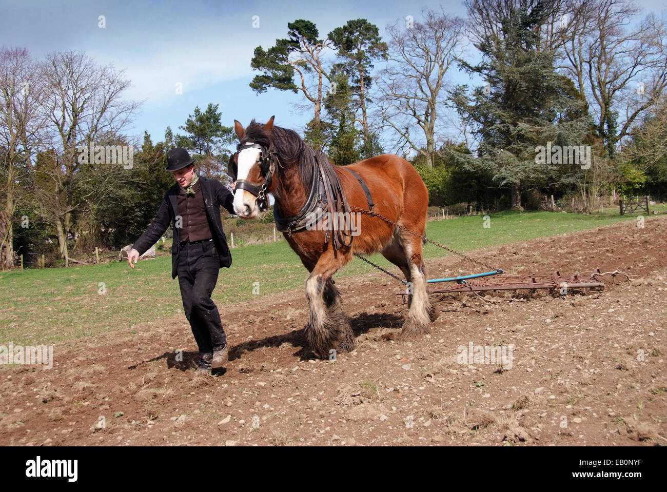 Acton Scott Victorian working Farm, Church Stretton, Shropshire, UK ...
