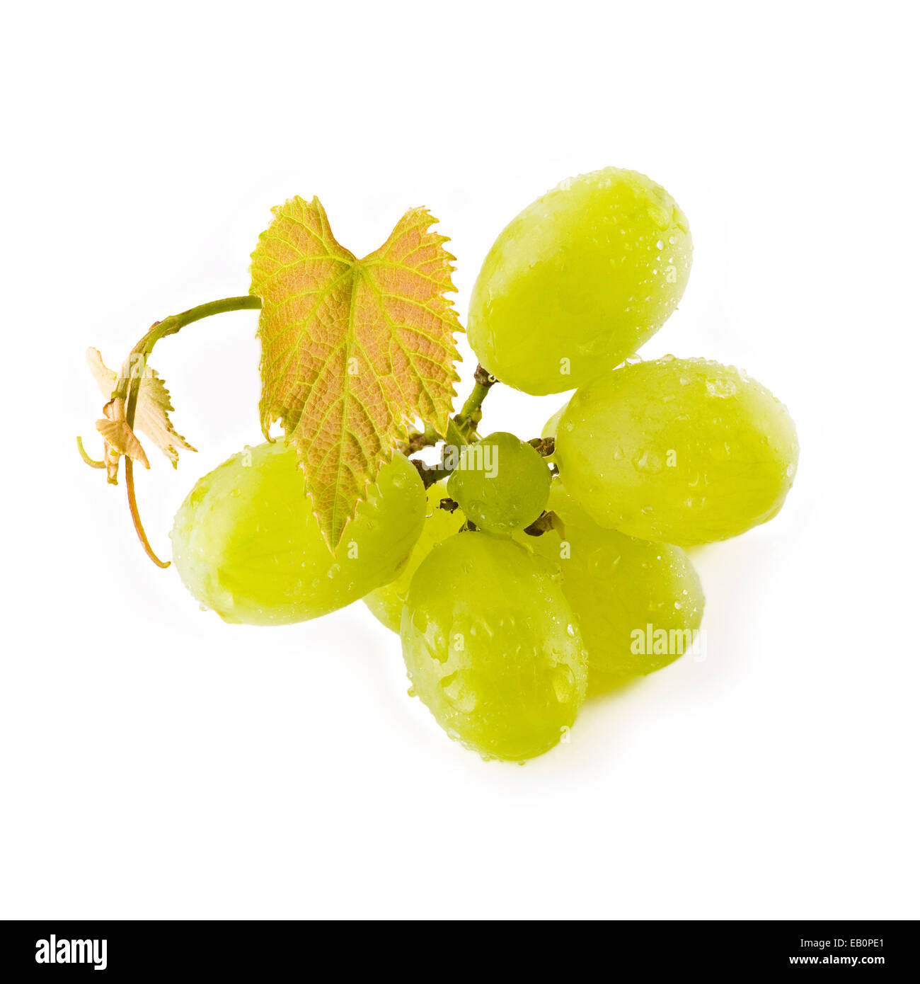 Small bunch of green grapes isolated on white Stock Photo - Alamy