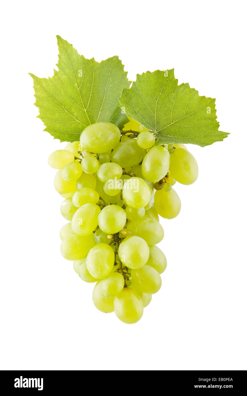 Green grapes isolated on hi-res stock photography and images - Alamy