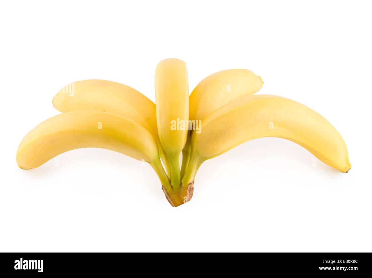 Bunch of five exotic bananas fruits isolated Stock Photo - Alamy
