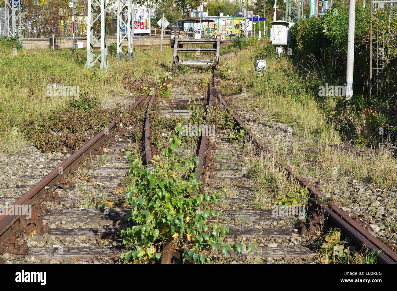 Old abandoned rusty railway tracks with grass overgrown Stock Photo - Alamy