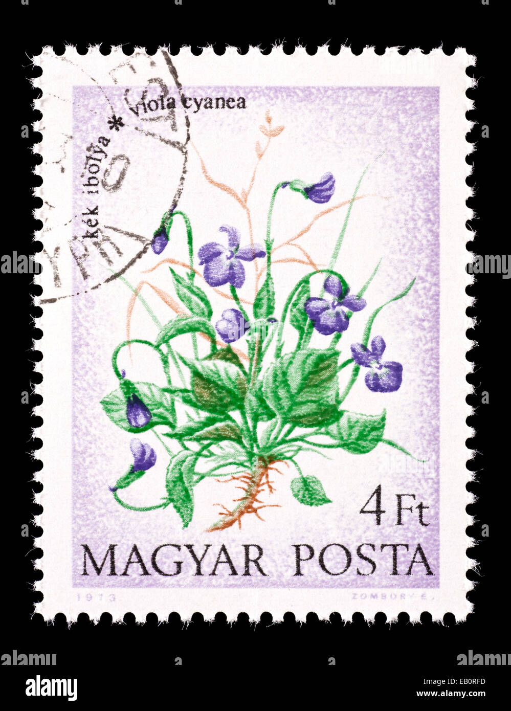 Postage stamp from Hungary depicting russian violet flowers ((Viola ...