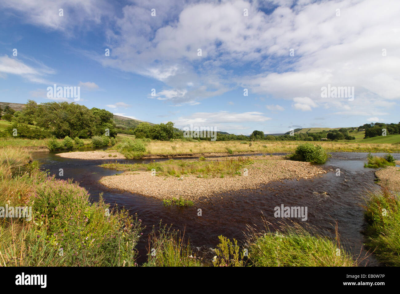 The gravel banks and meanders of the River Swale, Swaledale in the ...