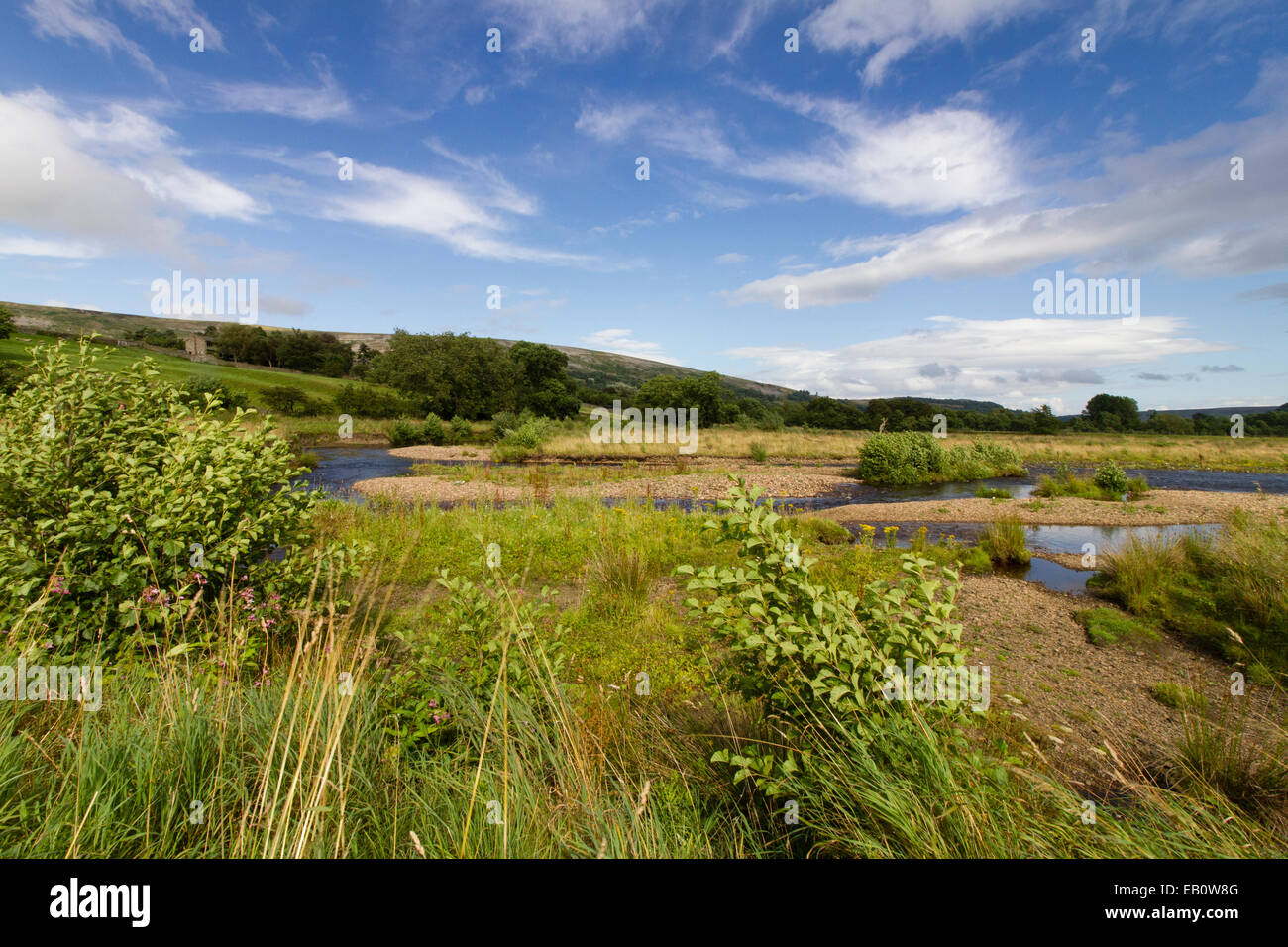 The gravel banks and meanders of the River Swale, Swaledale in the ...