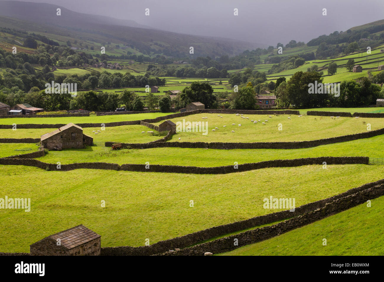 Picturesque Swaledale showing its iconic fields with their dry stone ...