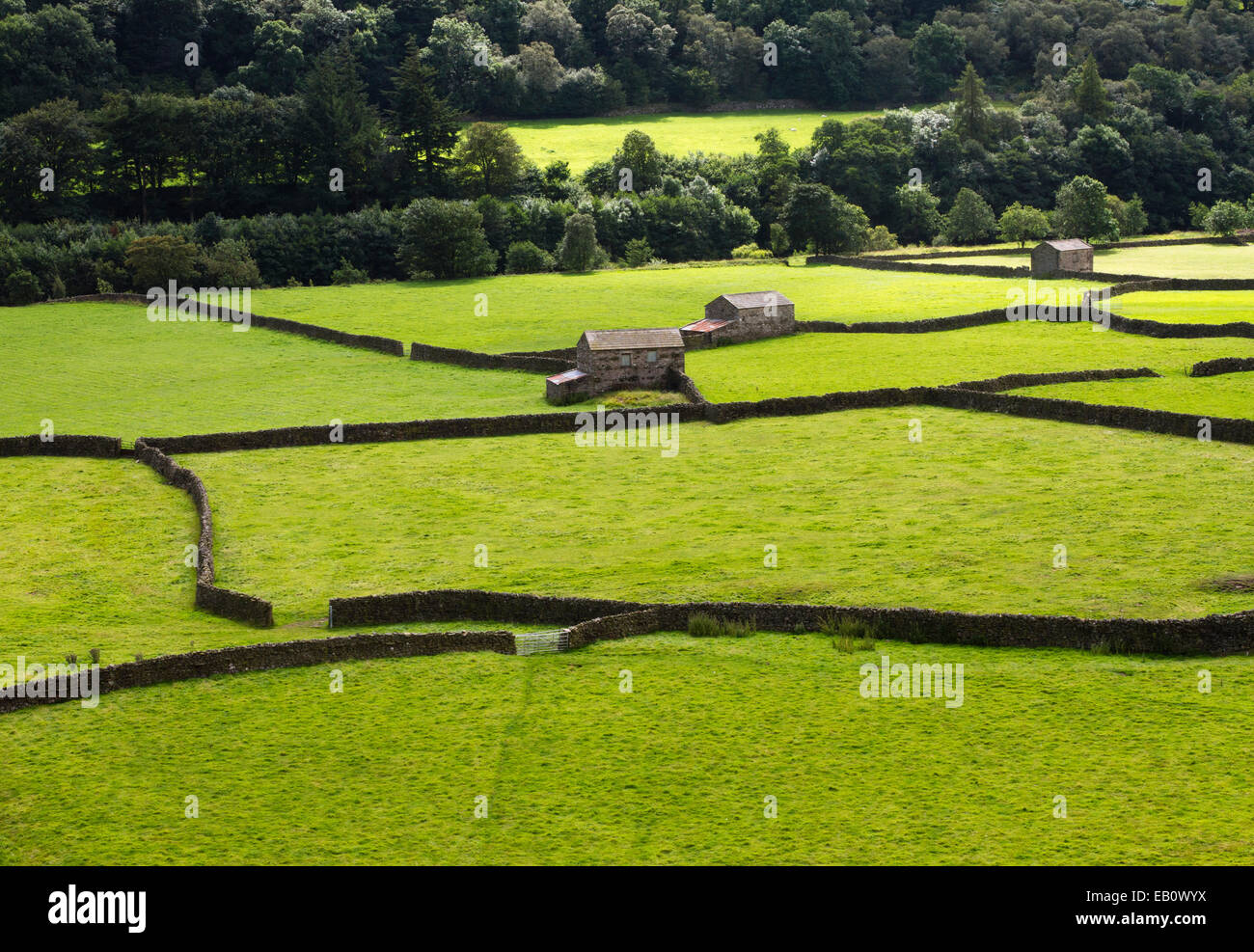 Picturesque Swaledale showing its iconic fields with their dry stone ...