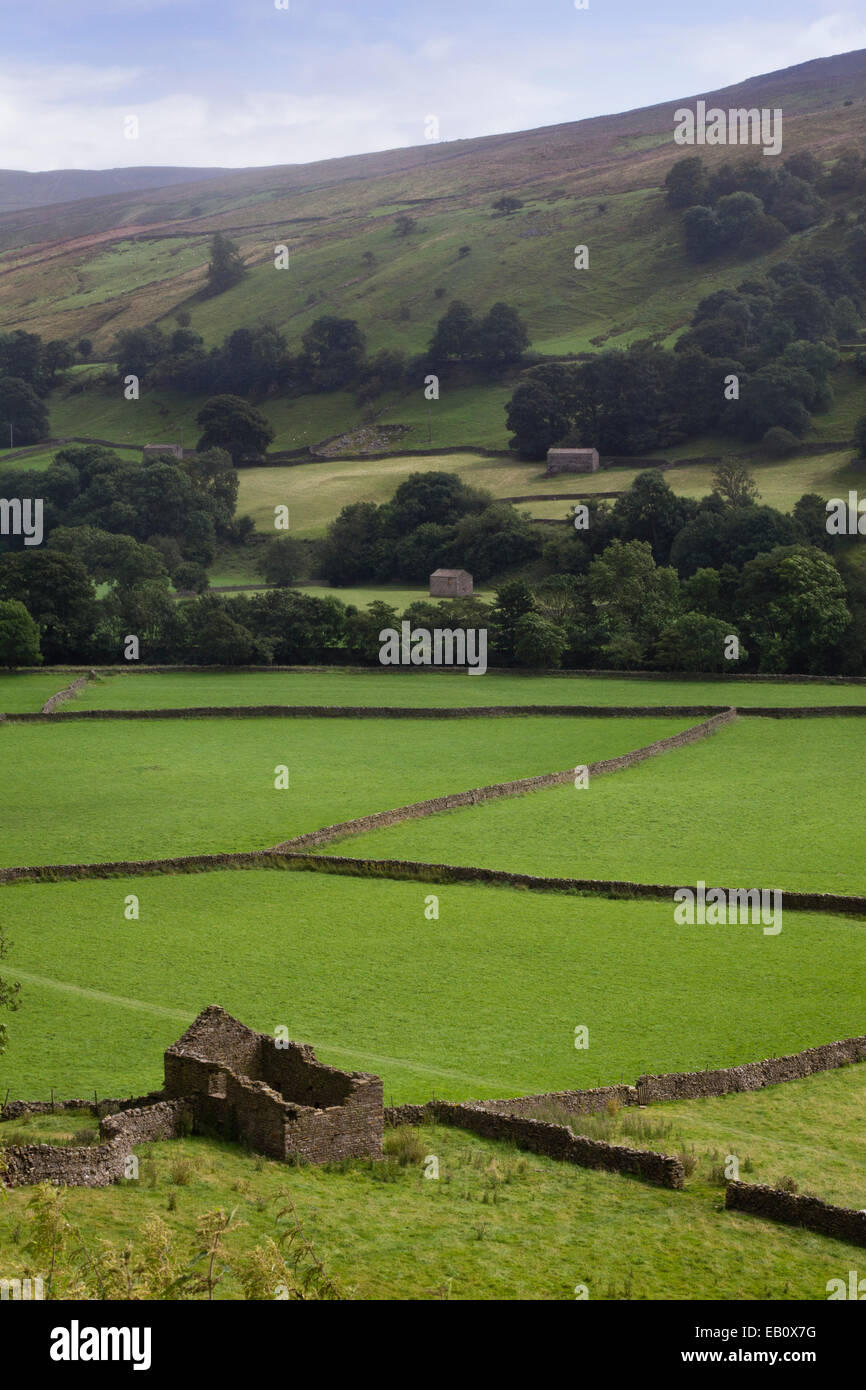 Picturesque Swaledale showing its iconic fields with their dry stone ...