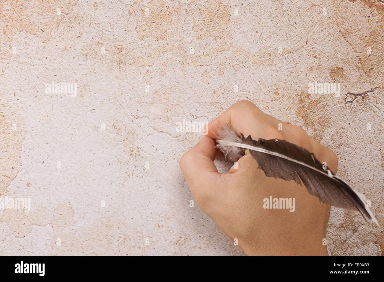Hand holding feather writing hi-res stock photography and images - Alamy